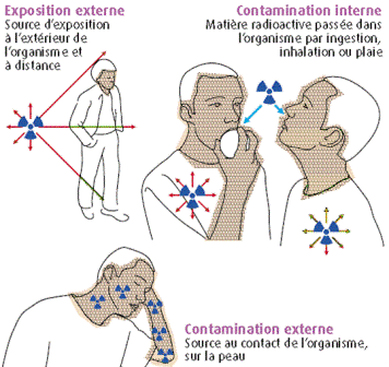Evaluation du risque ionisant - Évaluation des risques - Informations ...