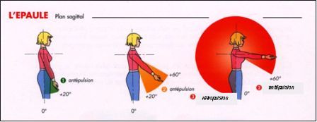 Troubles musculo-squelettiques (TMS) -pathologie- - Risques physiques ...